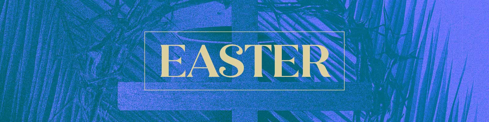 The Hope Of Easter Around The Trinity Network | Trinity Network